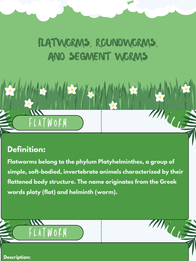 Flatworm, Roundworm, Segmentedworm 20250320 112635 0000 | PDF ...