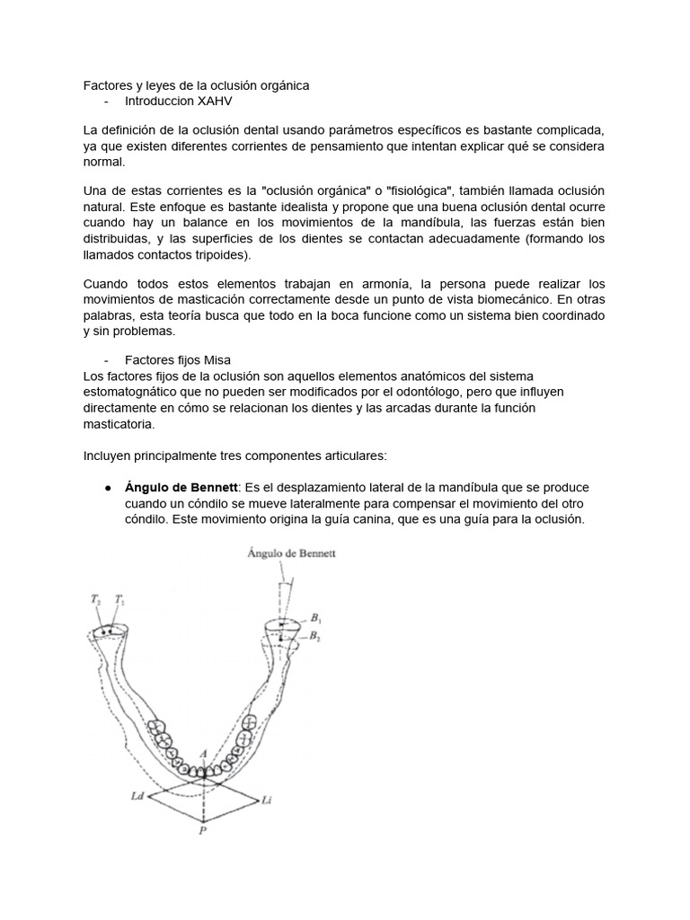 Ángulo de Bennett | PDF | Odontología | Anatomia dental
