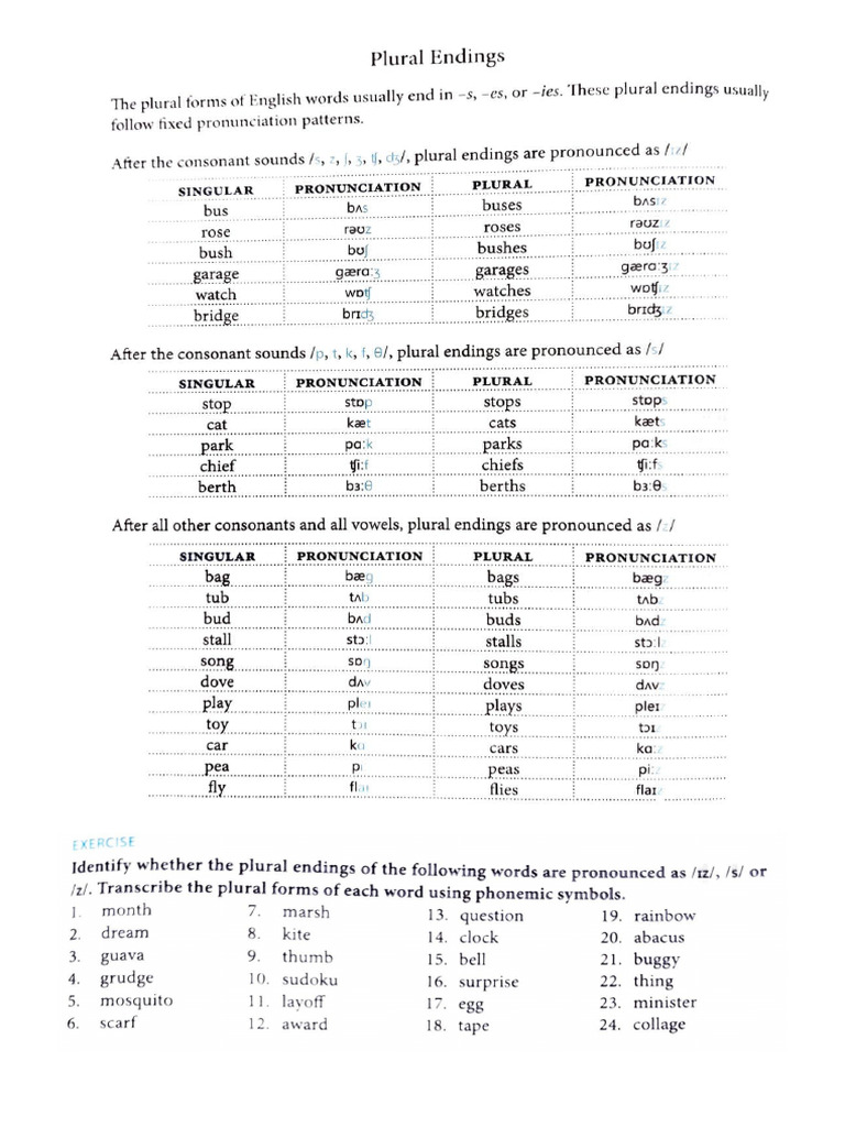 Plural Endings | PDF