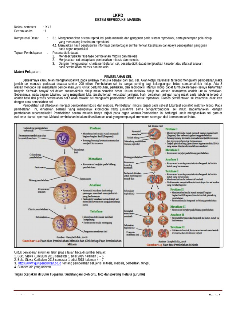 LKPD Sistem Reproduksi | PDF