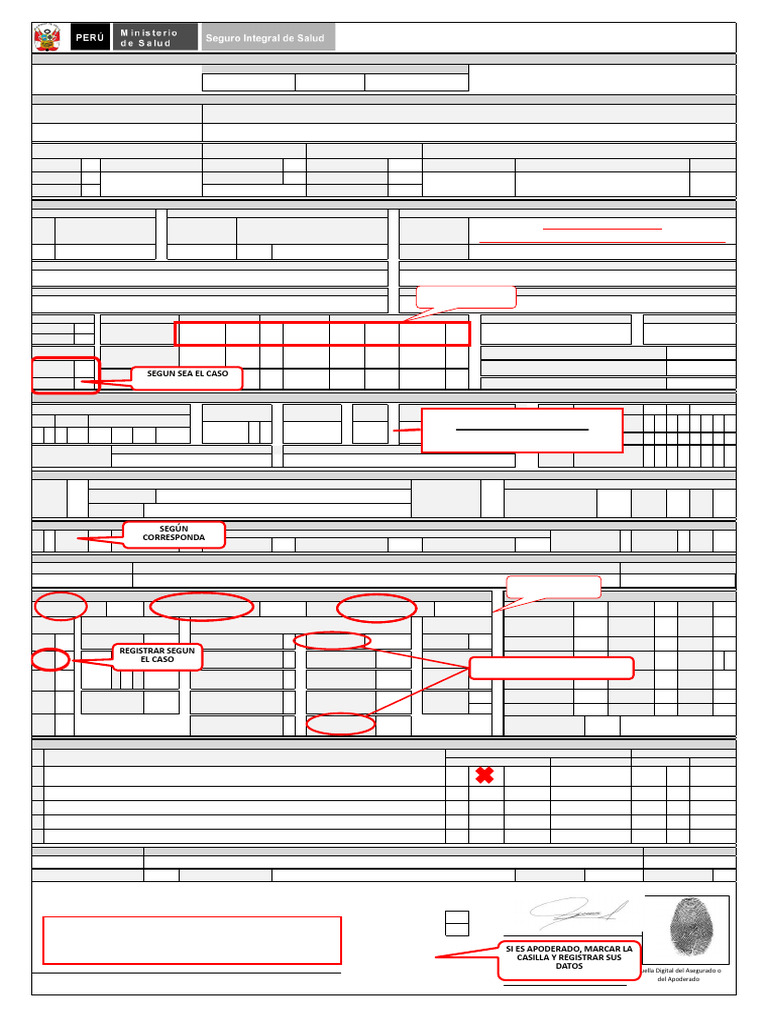 Ejemplo - FUA NO ASEGURADO | PDF | Drogas | Especialidades Medicas