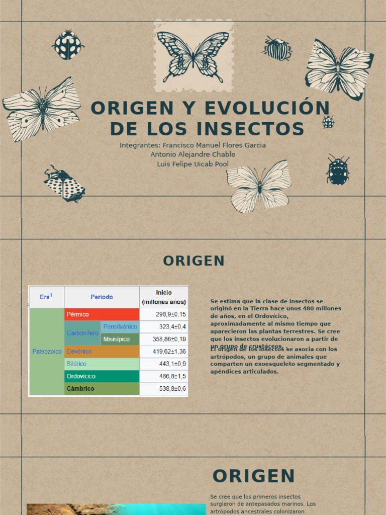 Origen y Evolucion Insectos | PDF | Insectos | Evolución