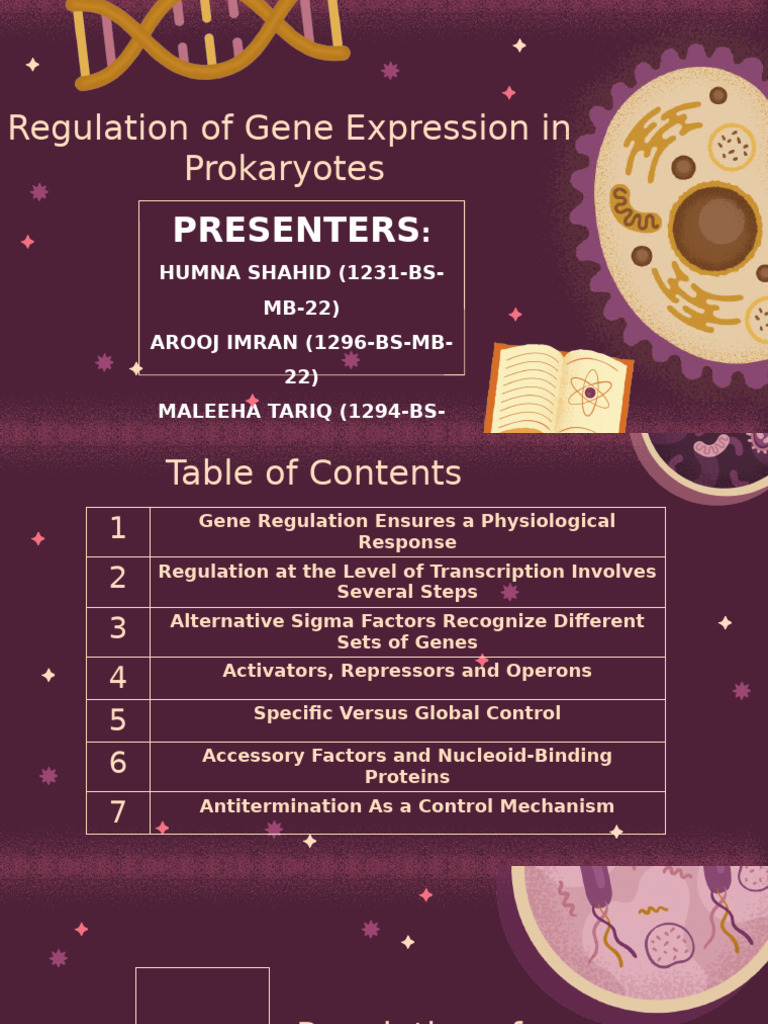 Regulation of Gene Expression | PDF | Operon | Promoter (Genetics)