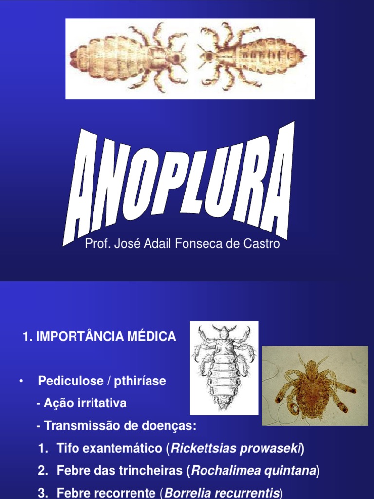 Anoplura | PDF | Artrópodes | Bem-estar