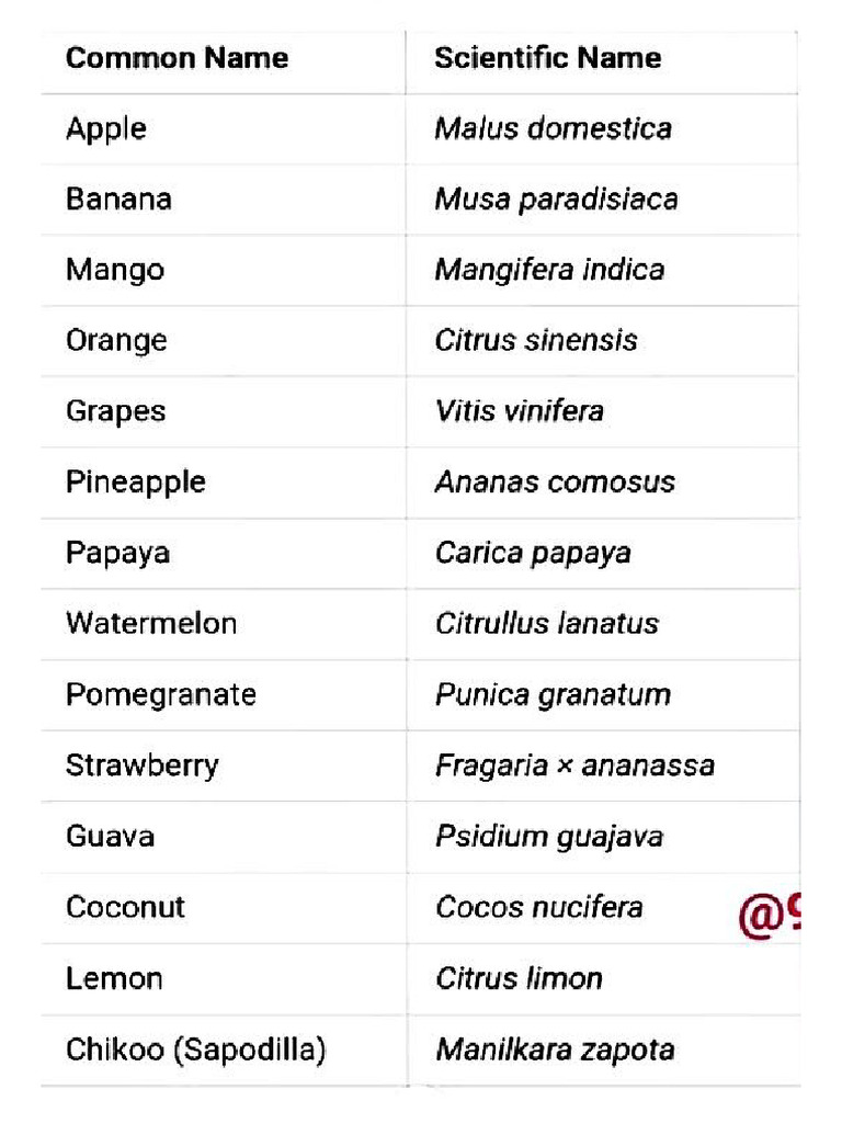 Scientific Name | PDF