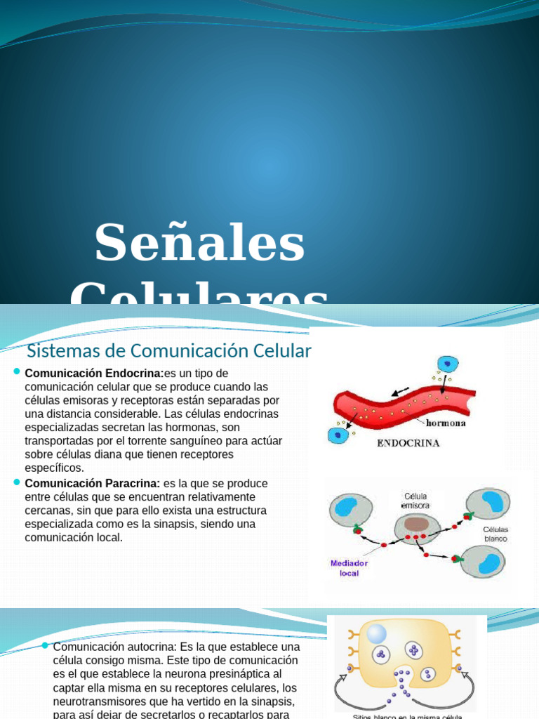 comunicacion-celular | PDF