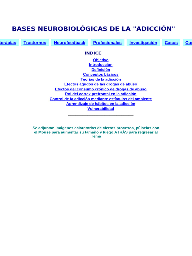 Bases Neurobiológicas de La | PDF | La dependencia de sustancias | Despachador de drogas