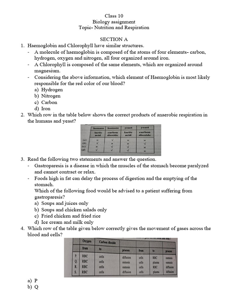 Class 10 Bio Assignment 1 Final | PDF | Respiratory System | Stoma
