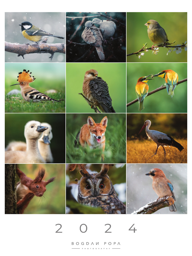 Calendar Poze 2024 - Edit | PDF