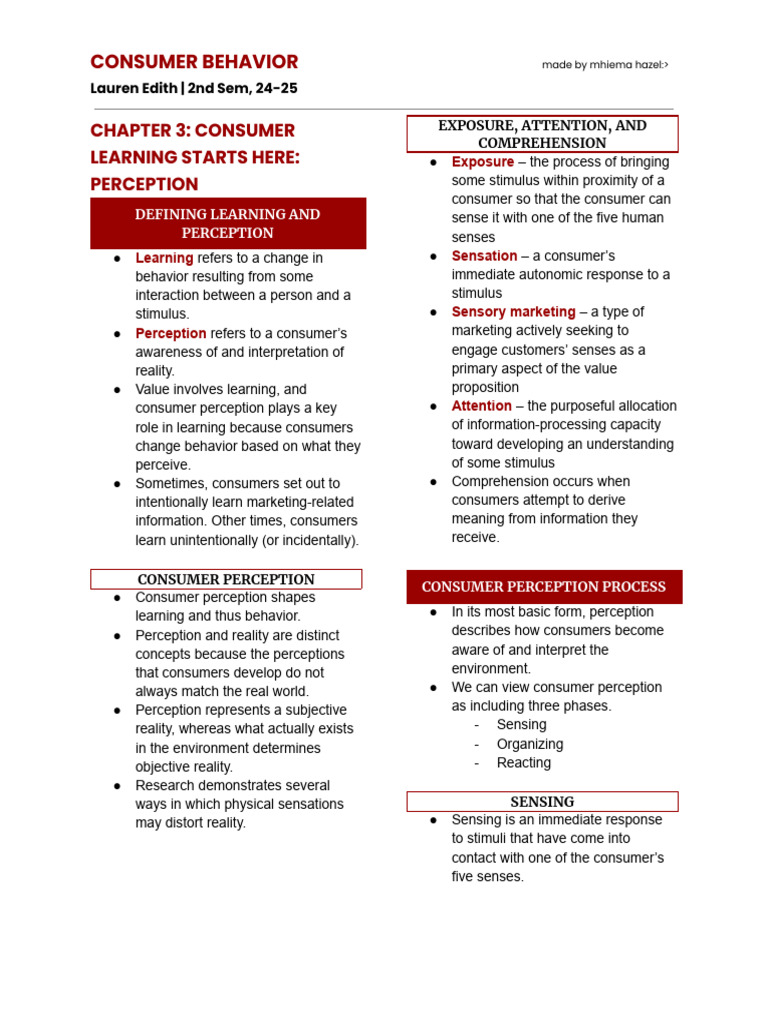 Understanding Consumer Perception | PDF | Perception | Reinforcement