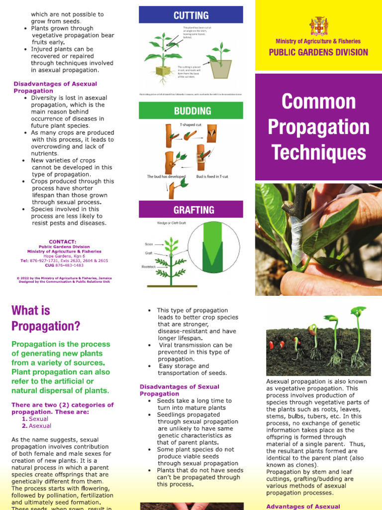 What Is Propagation | PDF