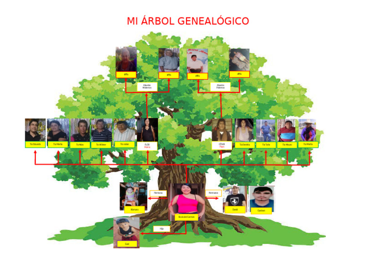 Mi Árbol Genealógico | PDF