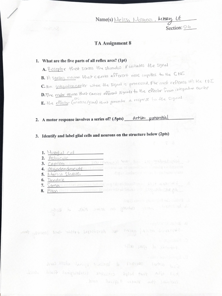 TA Assignment 8 | PDF