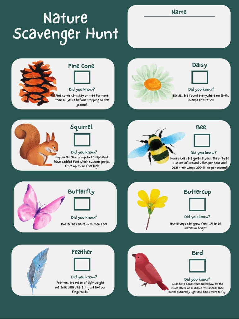 Activity Pack - Scavenger Hunts | PDF | Butterfly | Zoology
