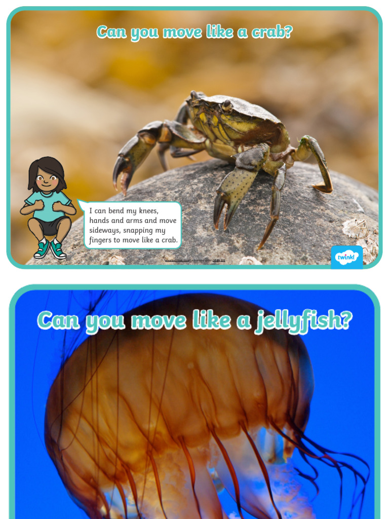 Sea Animals Day 2 | PDF