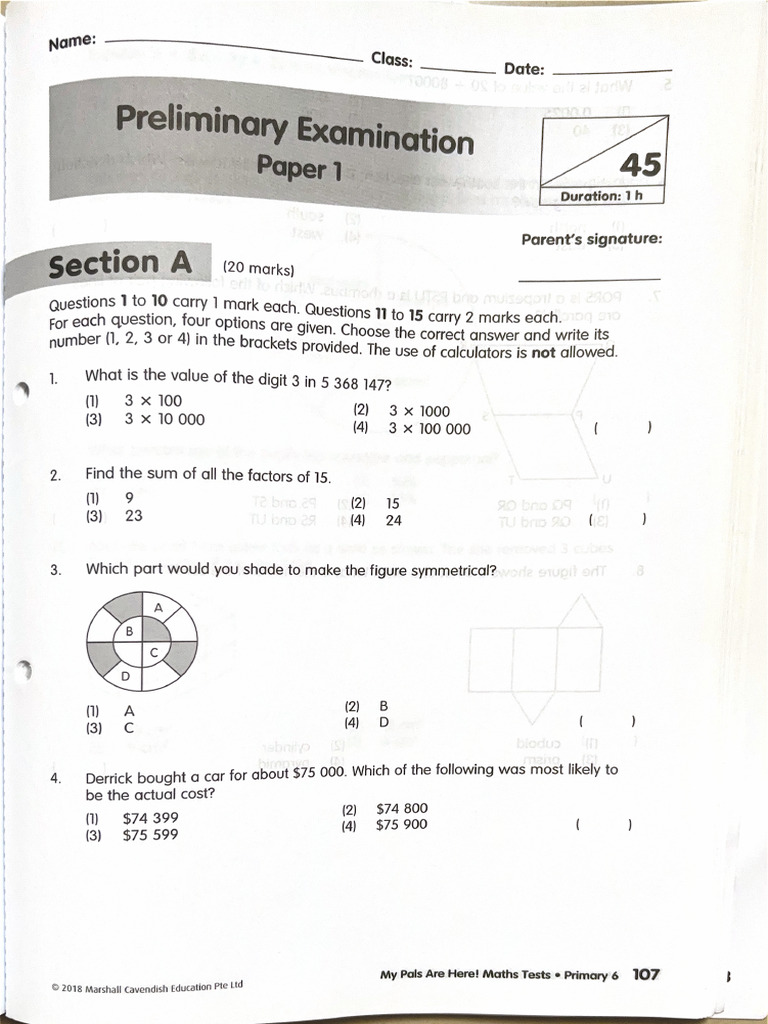 Preliminary Examination | PDF