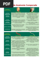 Tabela filos animais