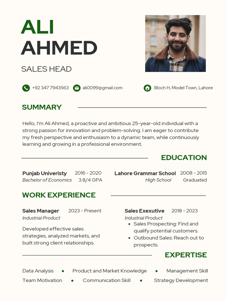Ali Ahmed: Sales Manager Profile | PDF