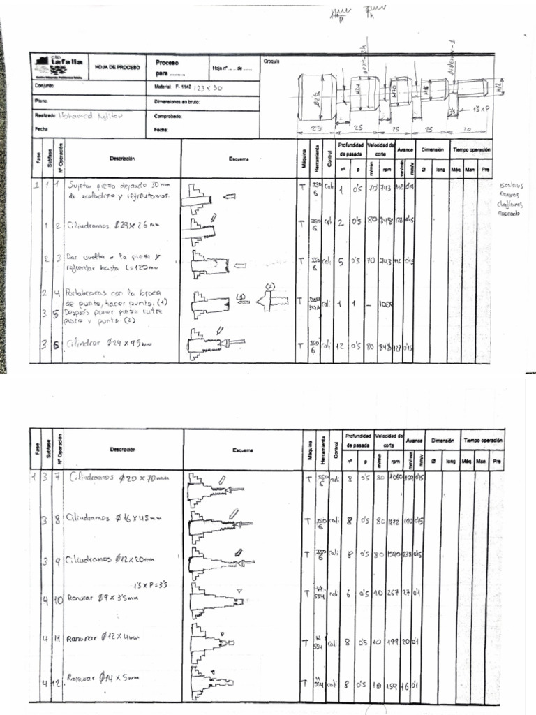 HOJAPROCESOPIEZATORNO5 Moha | PDF
