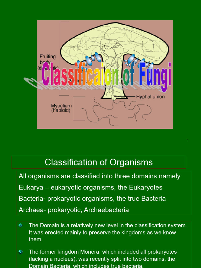 Classification of Fungi-1 | PDF | Fungus | Eukaryotes