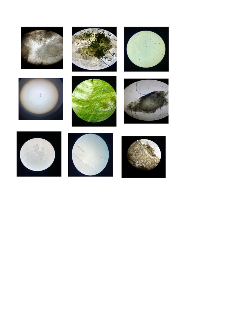 Gambar BTR Judul 1 Dan 2 | PDF