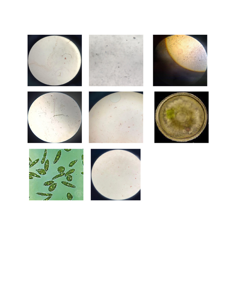 Gambar Zoin Dan BTR Judul 1 Dan 2 | PDF