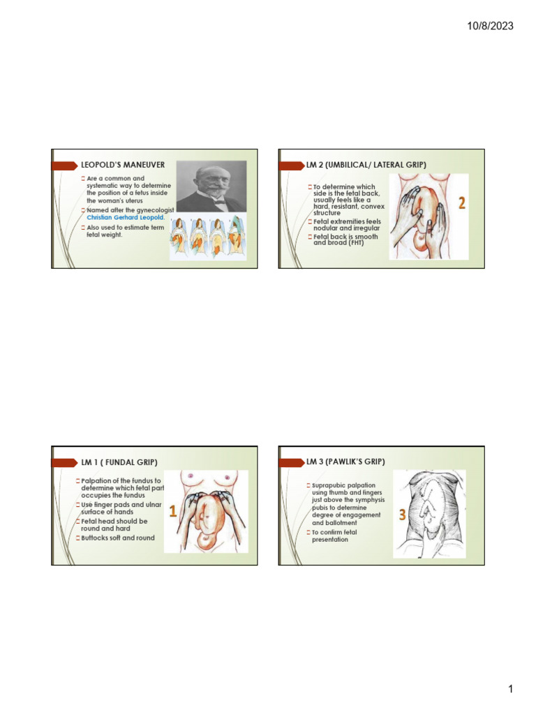 MCN RLE PPT_Leopolds Maneuver | PDF | Fetus | Uterus