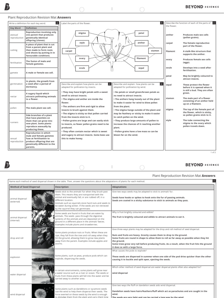 Plant Reproduction and Adaptations Guide | PDF | Flowers | Plant ...