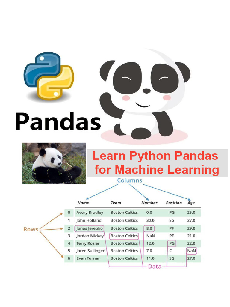 Turn Messy Data Into Insights With Pandas 1747162138 | PDF | Computer ...