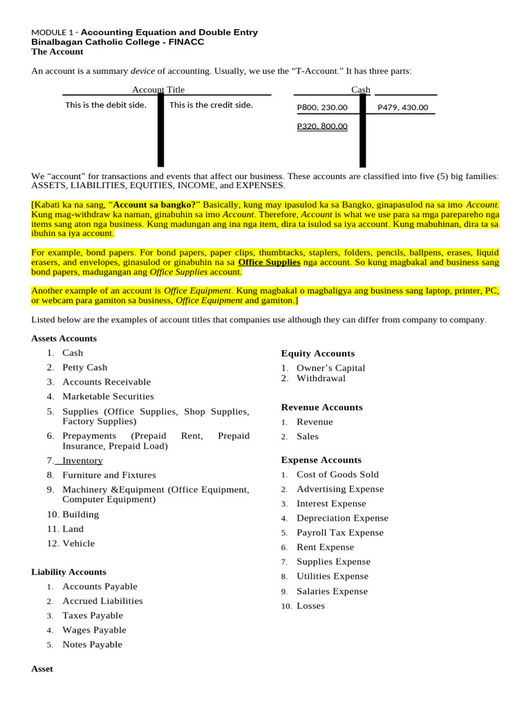 Module 1 Accounting Equation and Double Entry | PDF | Debits And Credits | Business