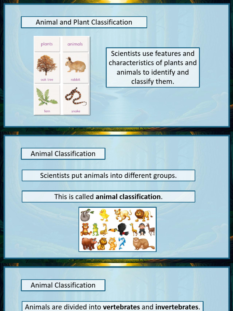 Classification of Animals and Plants | PDF | Plants | Flowers