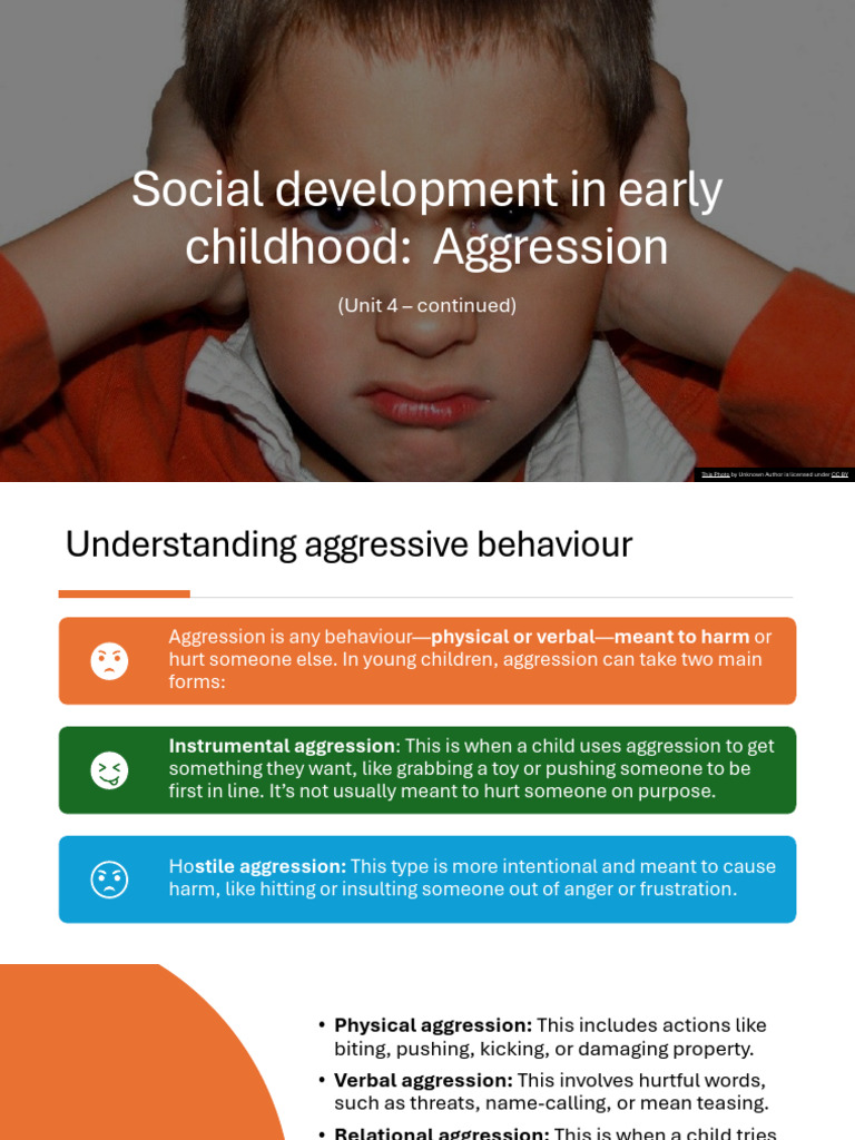 The role of play during early childhood | PDF | Aggression | Violence