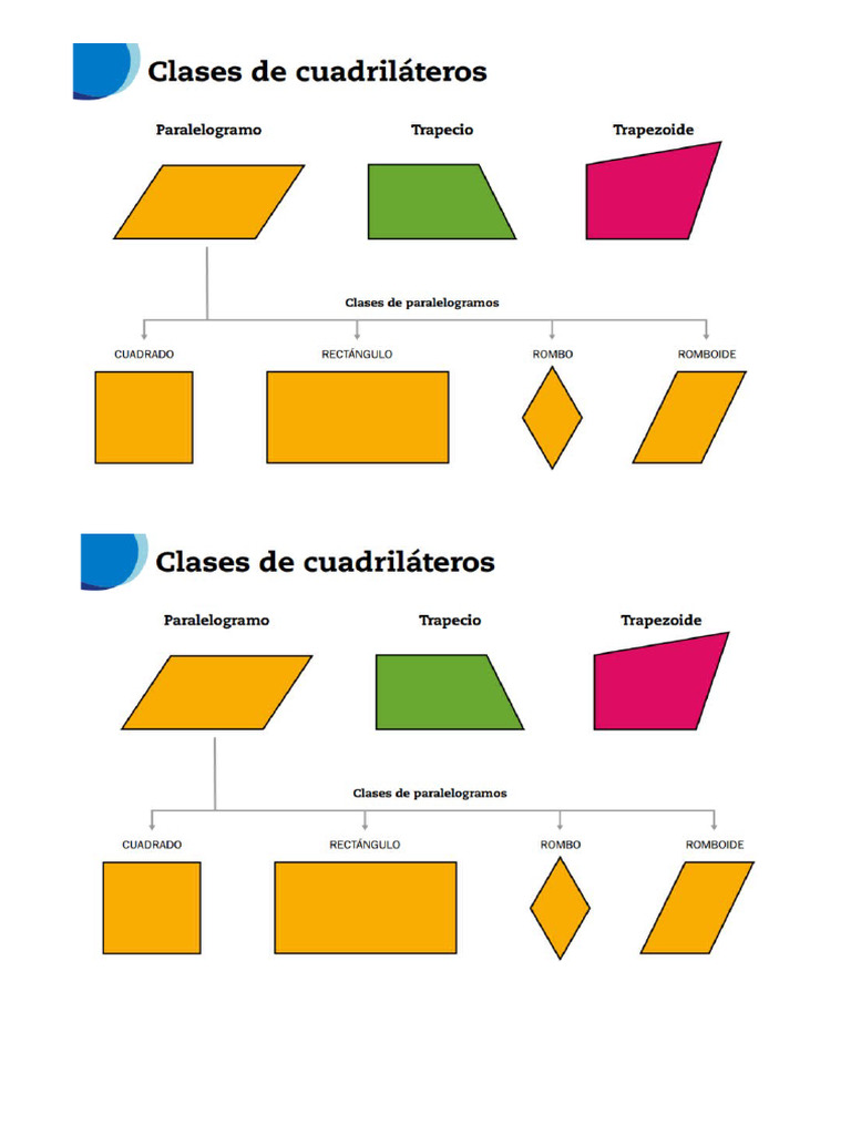 Clasificación de Los Cuadriláteros | PDF