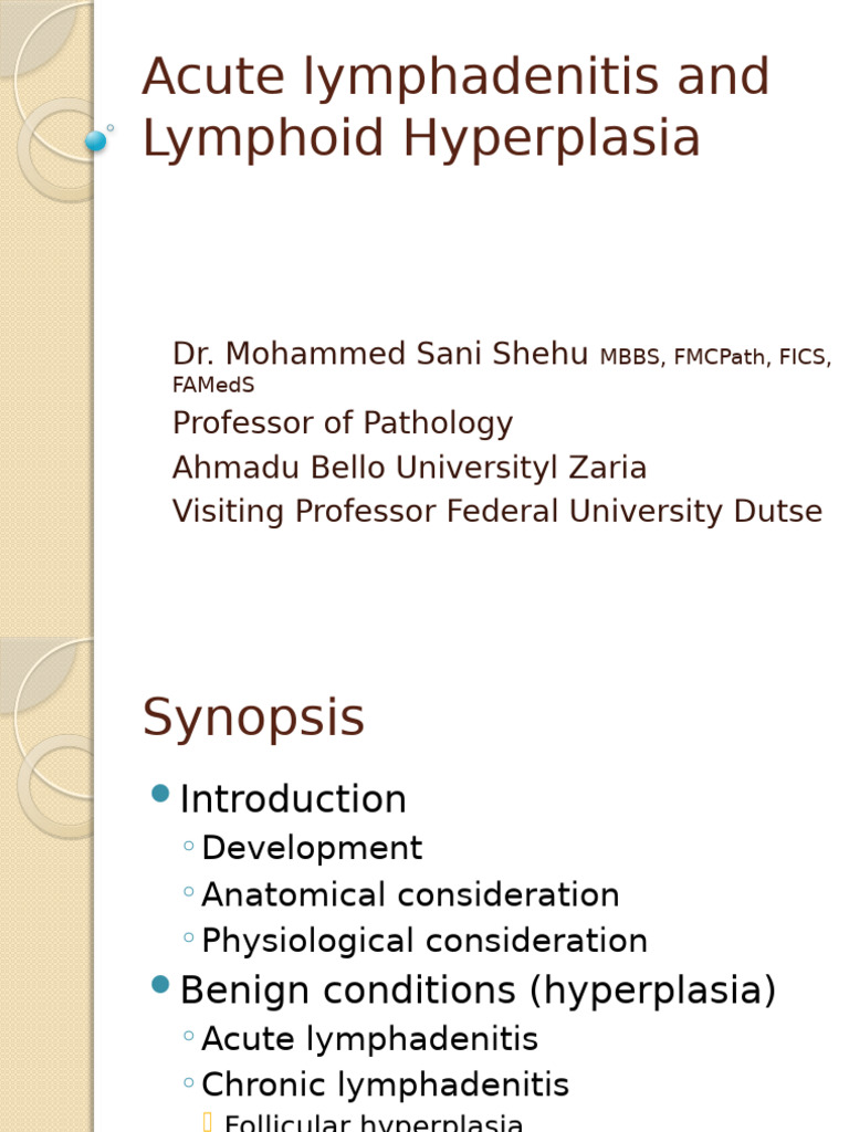 Acute Lymphadenitis and Hyperplasia | PDF | Lymph Node | Lymphatic System