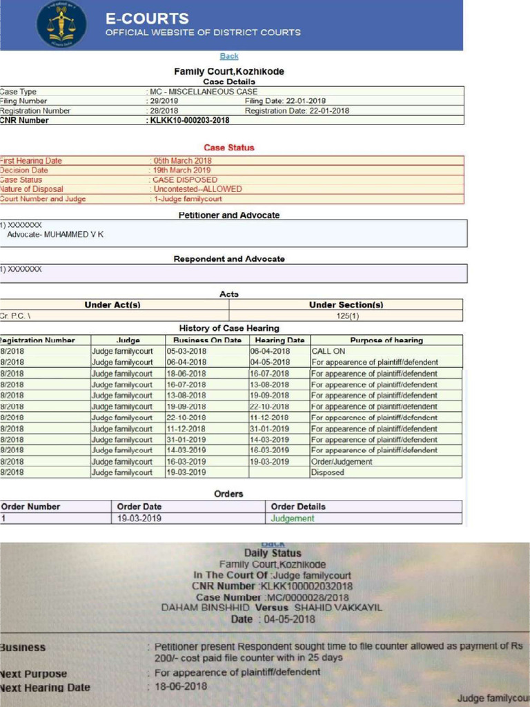Certified Copy of Petition at Family Court | PDF