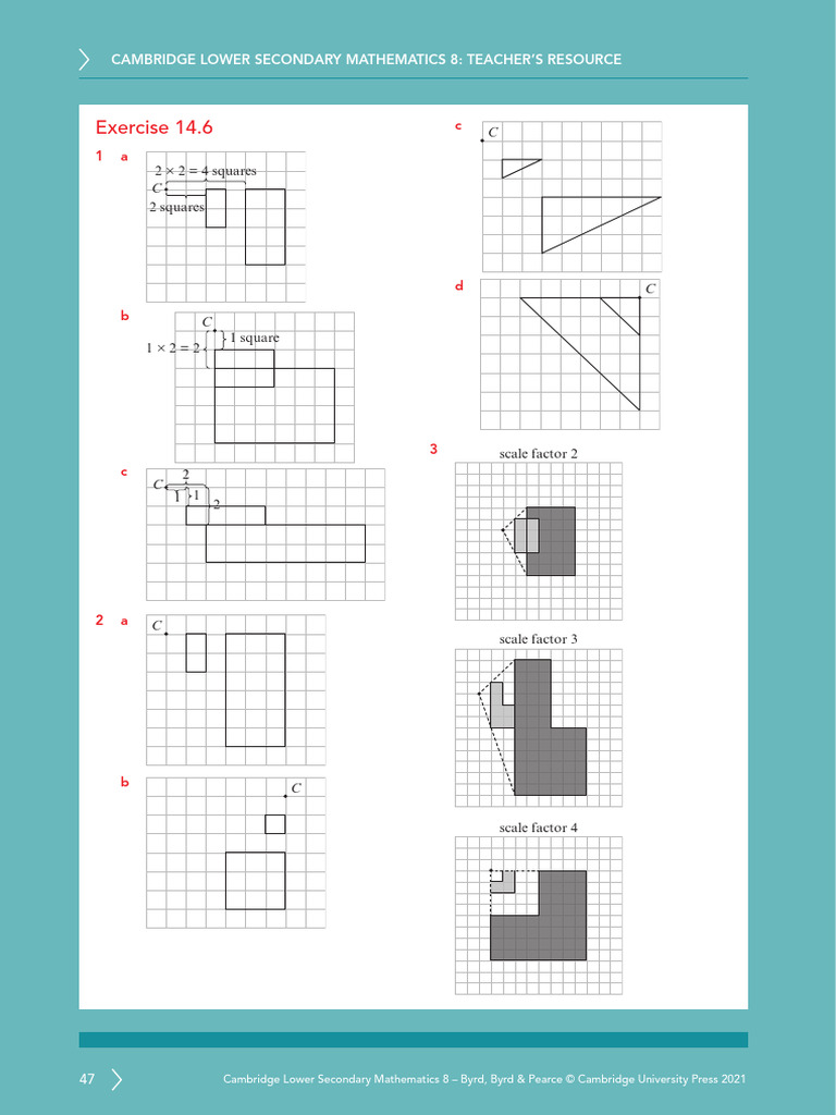 Enlargement sheet- model answer | PDF | Shape | Elementary Geometry