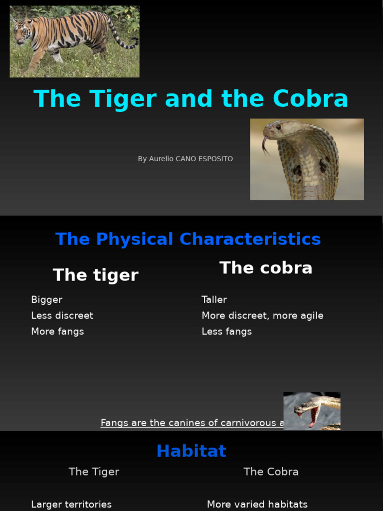 Presentation Tiger Cobra | PDF