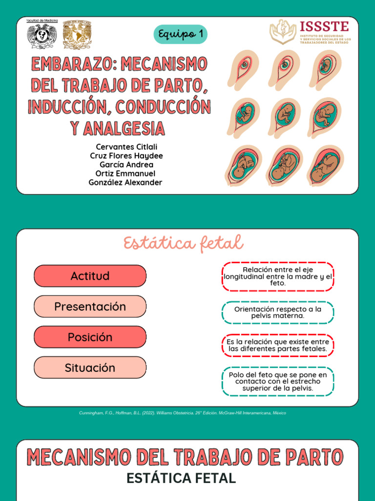 Mecanismos de Parto Inducción y Conducción | PDF | Parto | Pelvis