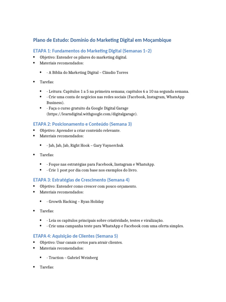 Plano Estudo Marketing Digital Mocambique | PDF