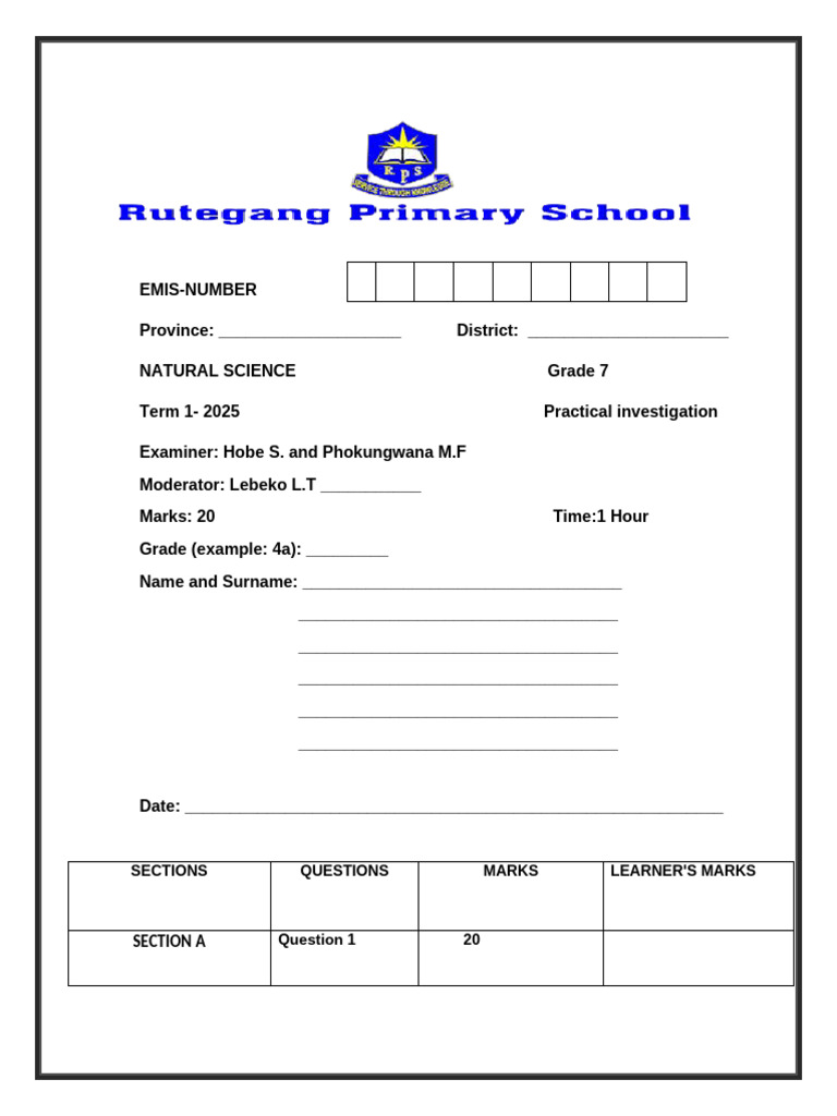 Grade 7 Natural Science Investigation | PDF