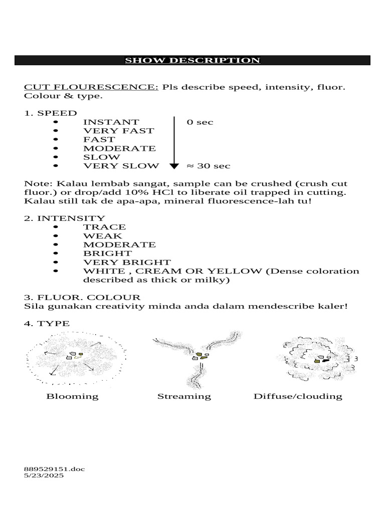 Fluorescence Speed and Intensity Guide | PDF