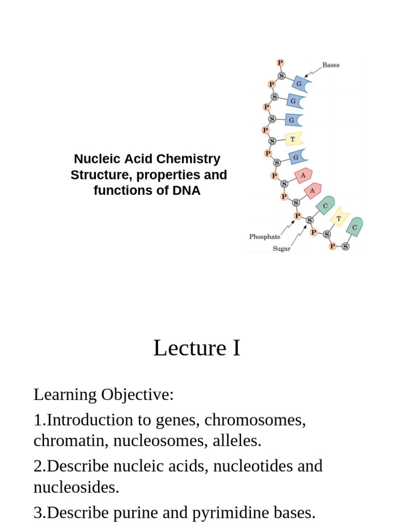 Nucelic Acids Chemistry | PDF | Dna | Nucleic Acids