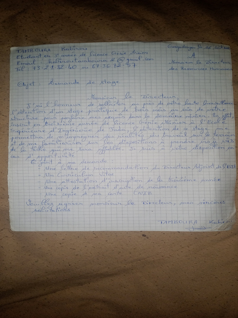 Document WPS Office | PDF