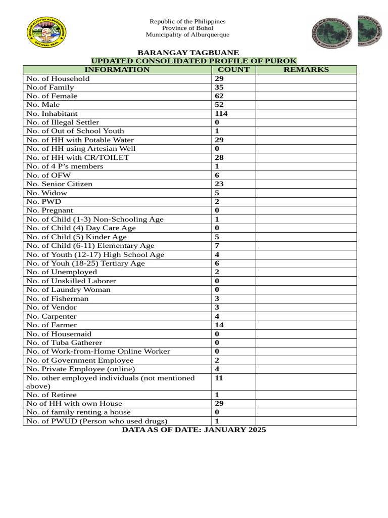 Barangay Profile 2025.docx Consolidated - Docxpurok 2 | PDF