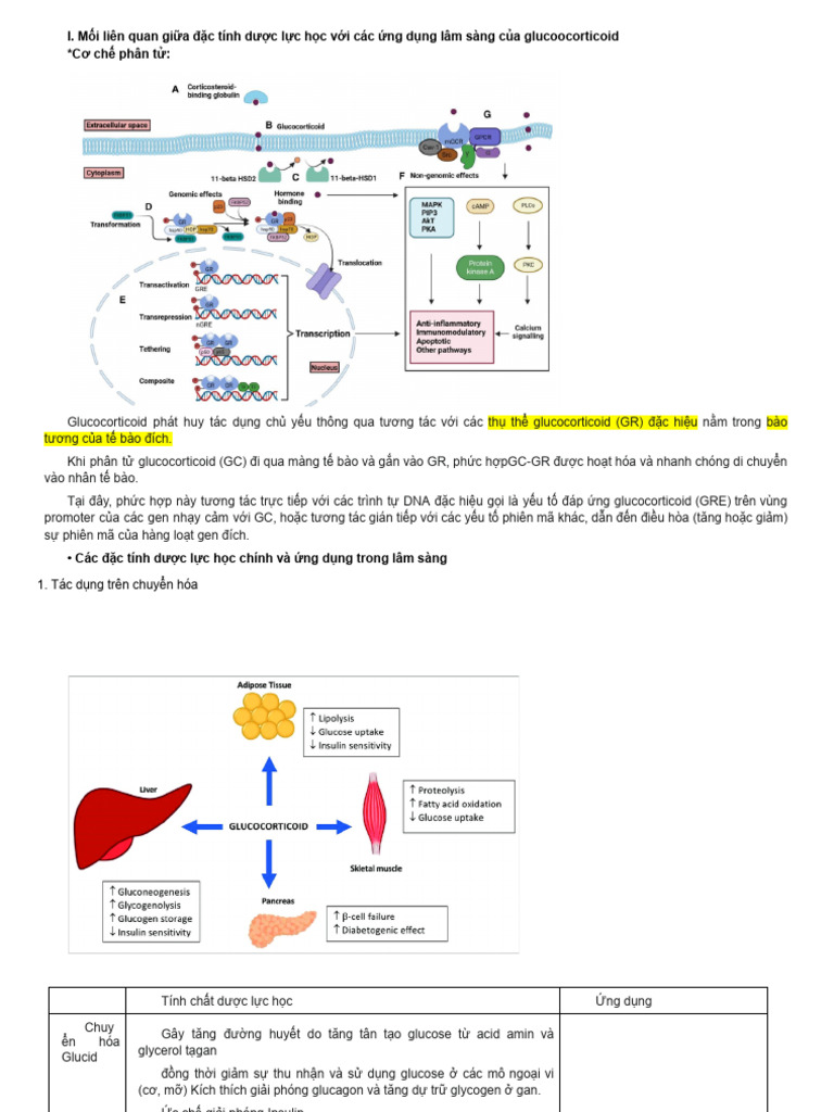 NG-D Ng-Lâm-Sàng-C A-Glucocorticoid | PDF