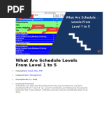 Schedule Levels From Level 1 To 5 | PDF | Project Management | Business