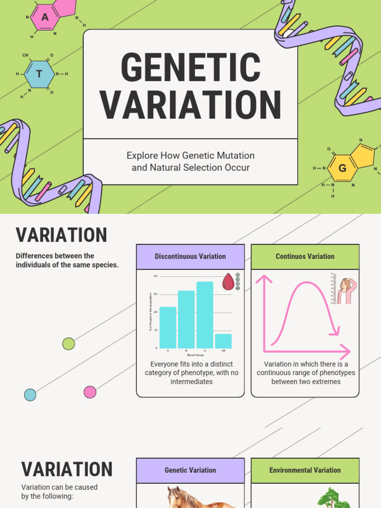 Genetic Variation and Natural Selection | PDF | Genetics | Genetic ...