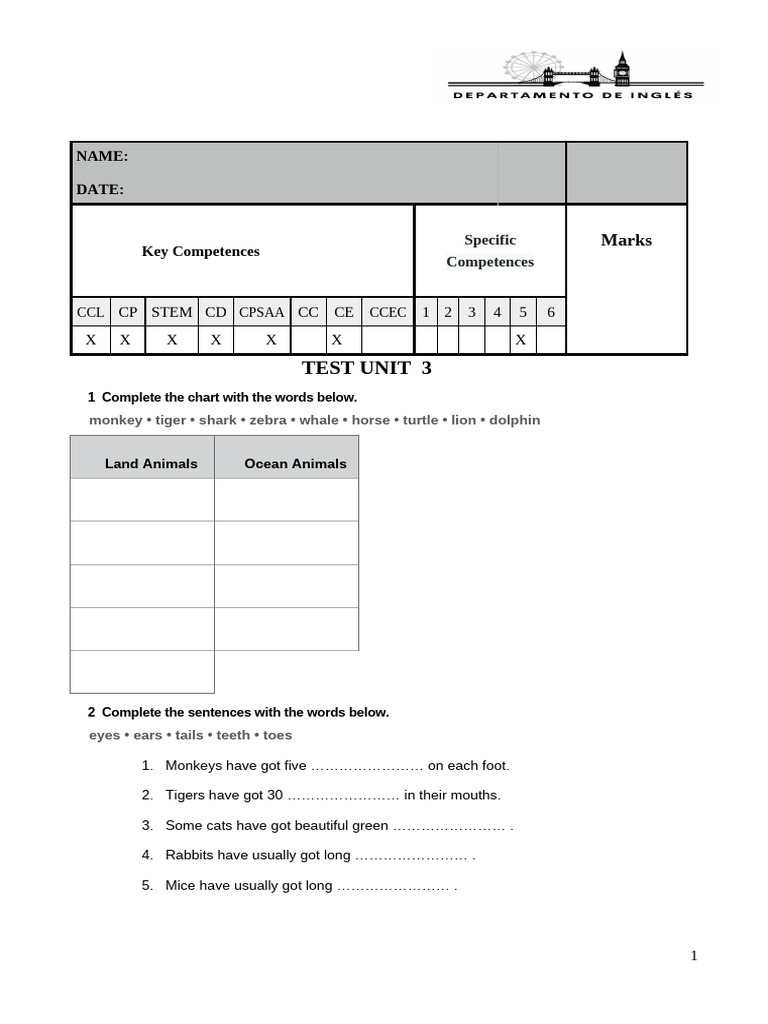 Copia de Grammar and Vocabulary | PDF | Sharks | Great White Shark