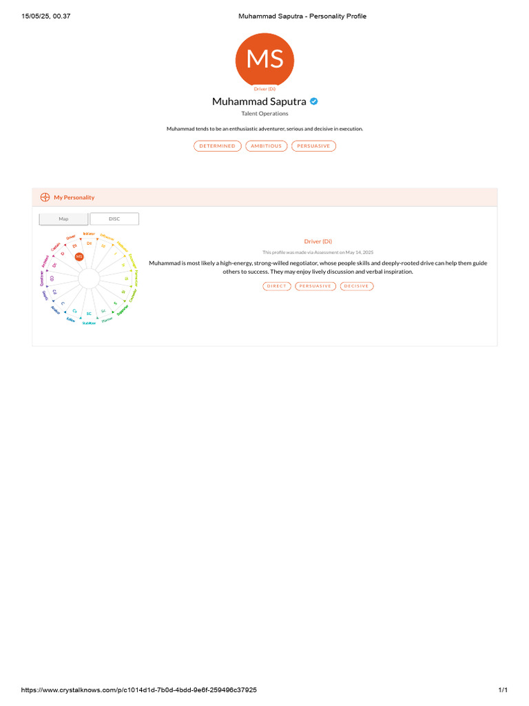 DISC Result Example | PDF