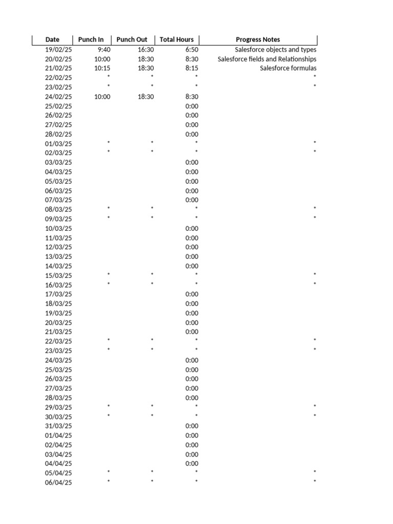 Salesforce Work Hours Tracker | PDF